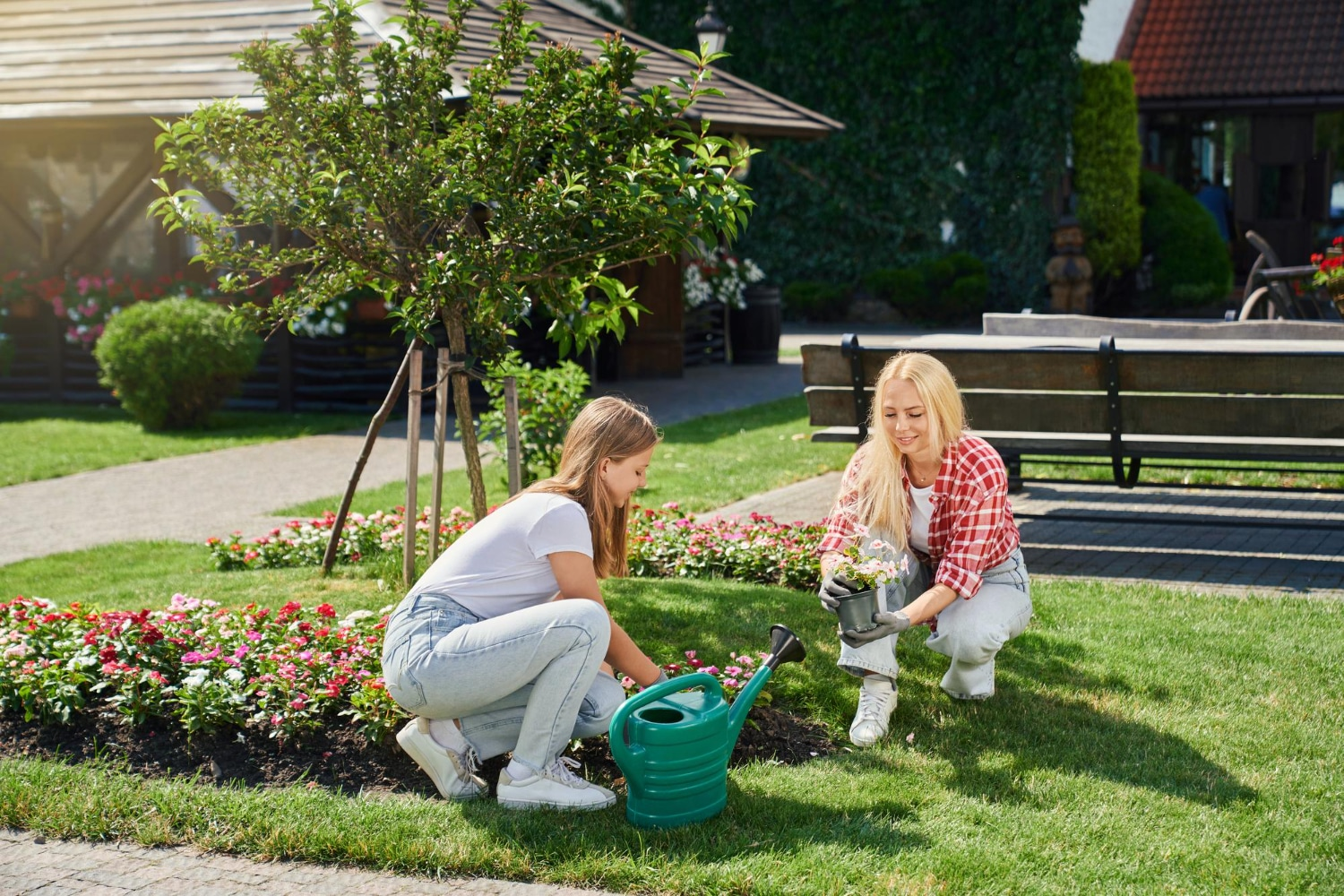 Nature-Friendly Lawn Care: Building Resilient Yards and Ecosystems ...